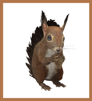 Second Life Marketplace - Mutresse - Fluffy Squirrels - 7